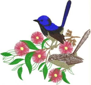 AusBirds Blue Wrens on Gum